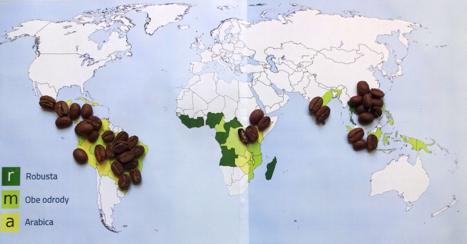 KÁVÉ ORSZÁGOK SZERINT - KÁVÉ TÍPUS - Zrnková káva | Hispaniola Cafe